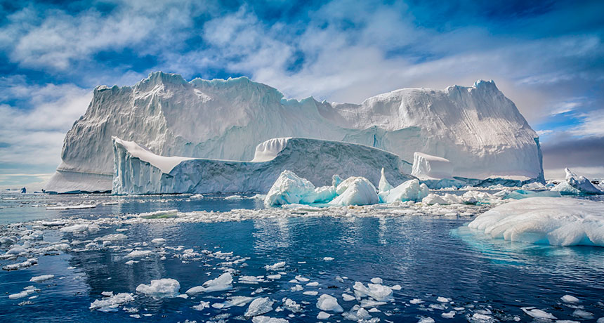 First Mussel Invasion Due to Climate Change Discovered in Antarctica First Mussel Invasion Due to Climate Change Discovered in Antarctica
